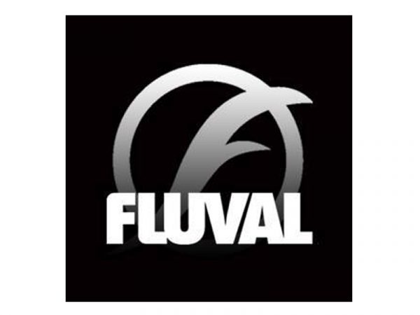 Fish & Reptile | PetZoo